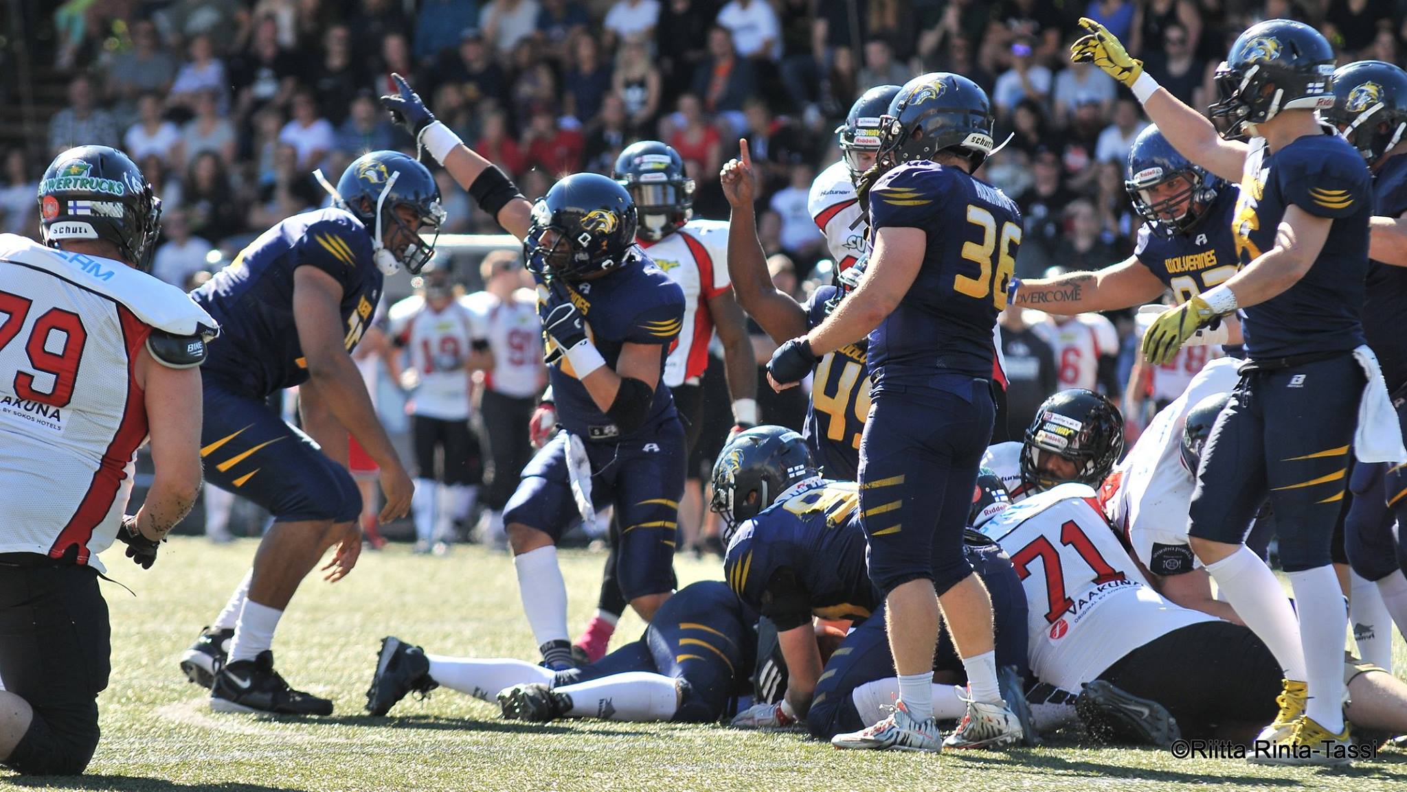 Wolverines | American Football since 1995