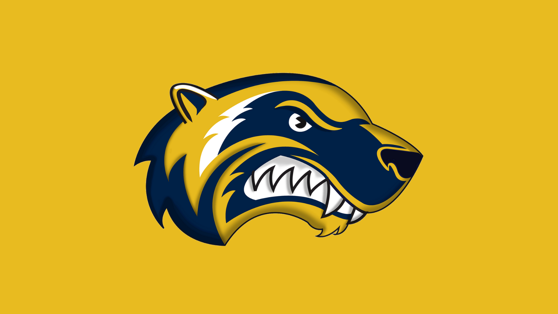 Helsinki Wolverines Ry:n vuosikokous 2020 – Helsinki Wolverines